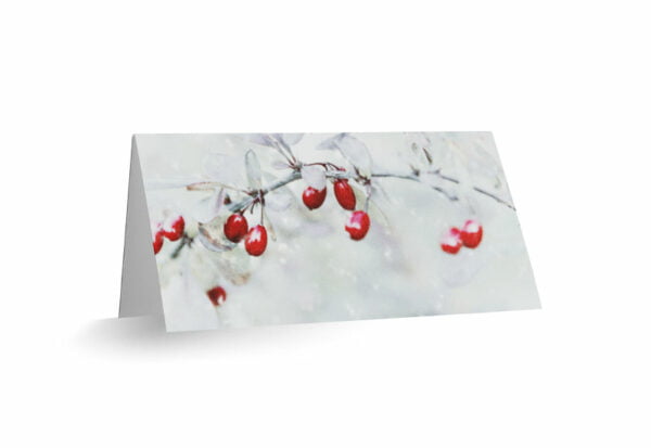 Merry Berry Christmas Card | Exeter, Devon | QuickPrint